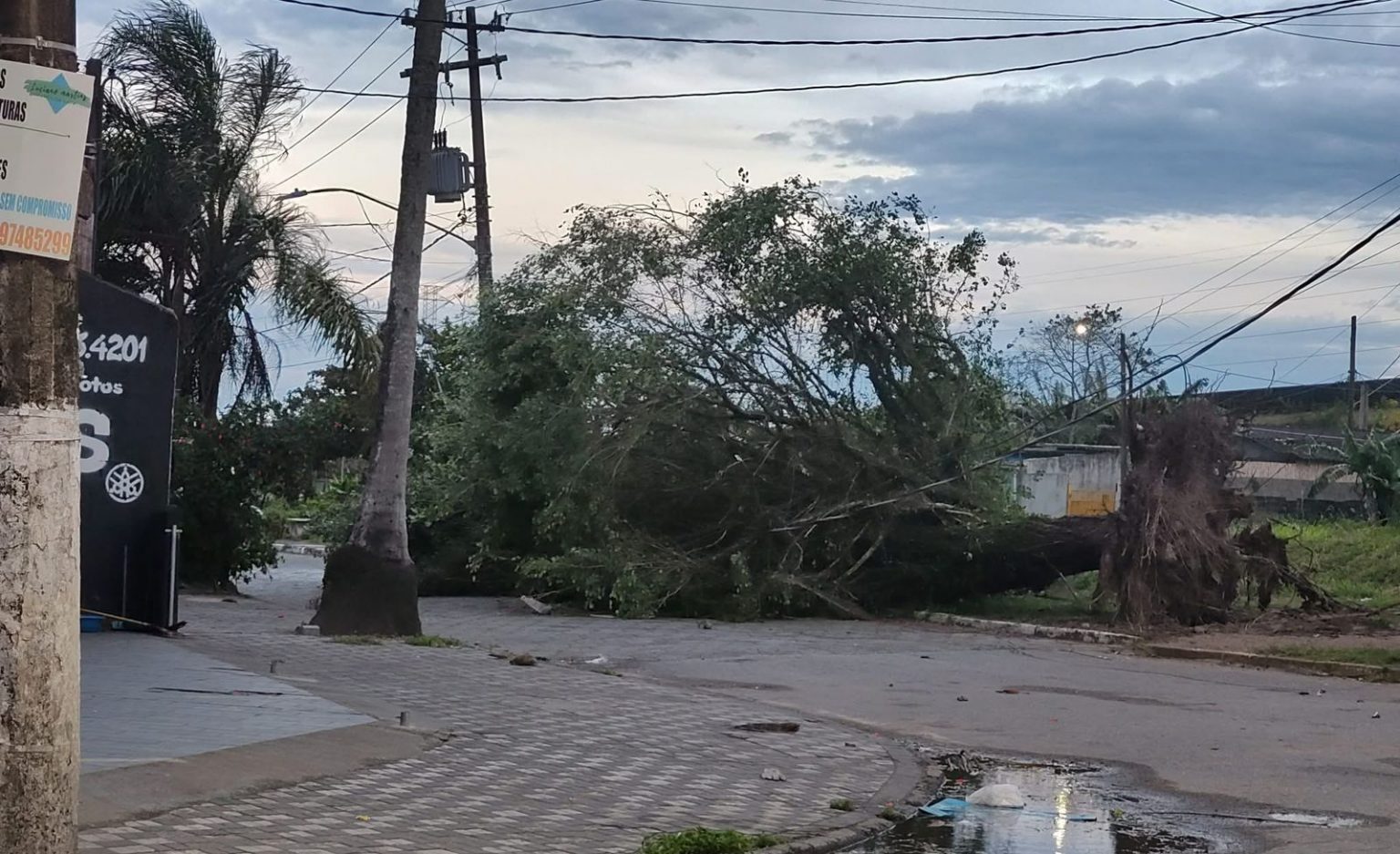 Defesa Civil envia equipes após ciclone extratropical e ventos de mais ...